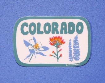 CO Sticker Bundle Discounted Sticker Packs Waterproof Sticker Gift for ...