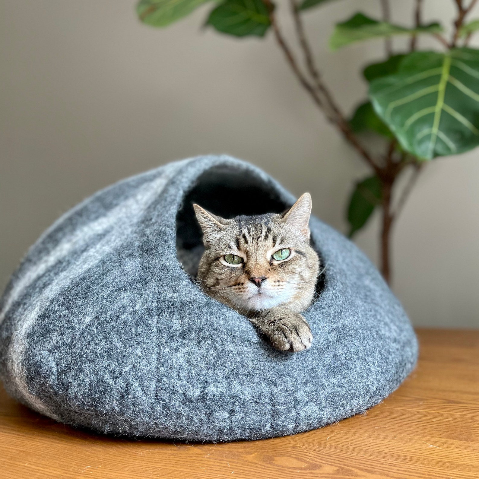 Wool Cat Cave / Cat Bed / Cat House/ Felted Wool/ Felt Cat - Etsy