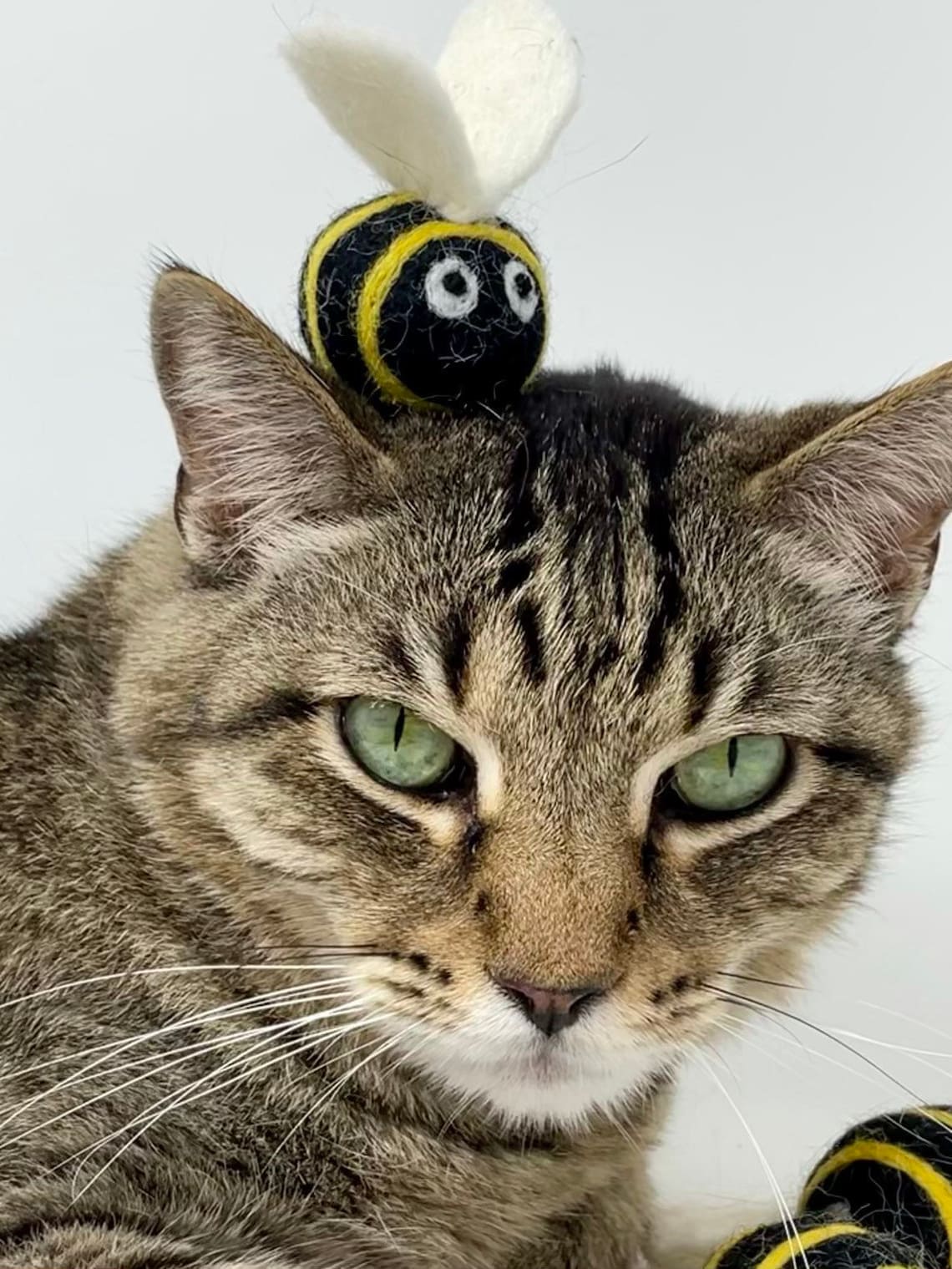 Wool Cat Toys/ Interactive Wool Kitten toys/ Kitten Toy/ | Etsy