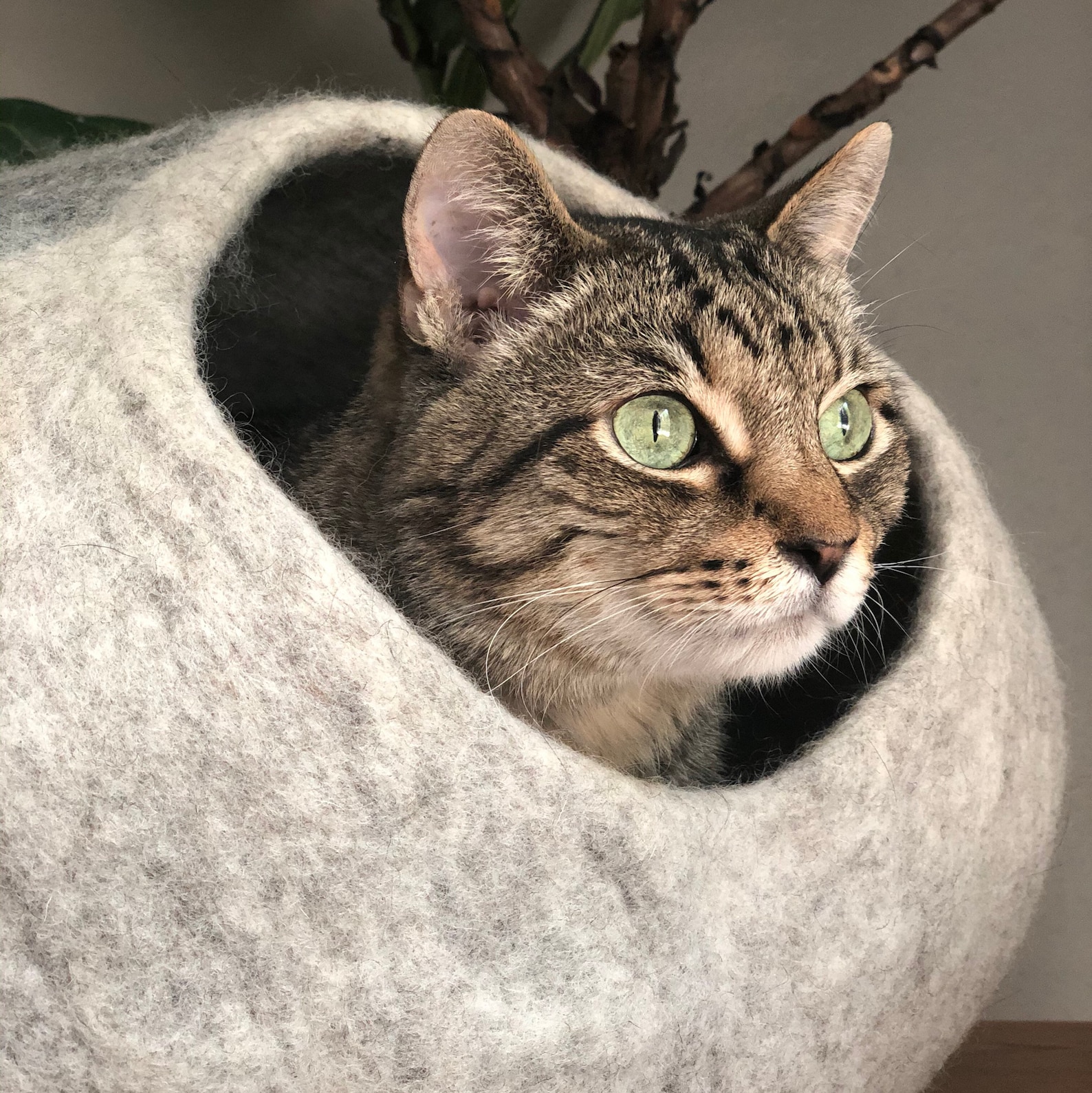 Large Wool Cat Cave / Cat Bed / Cat House/ Felted Wool Natural ...
