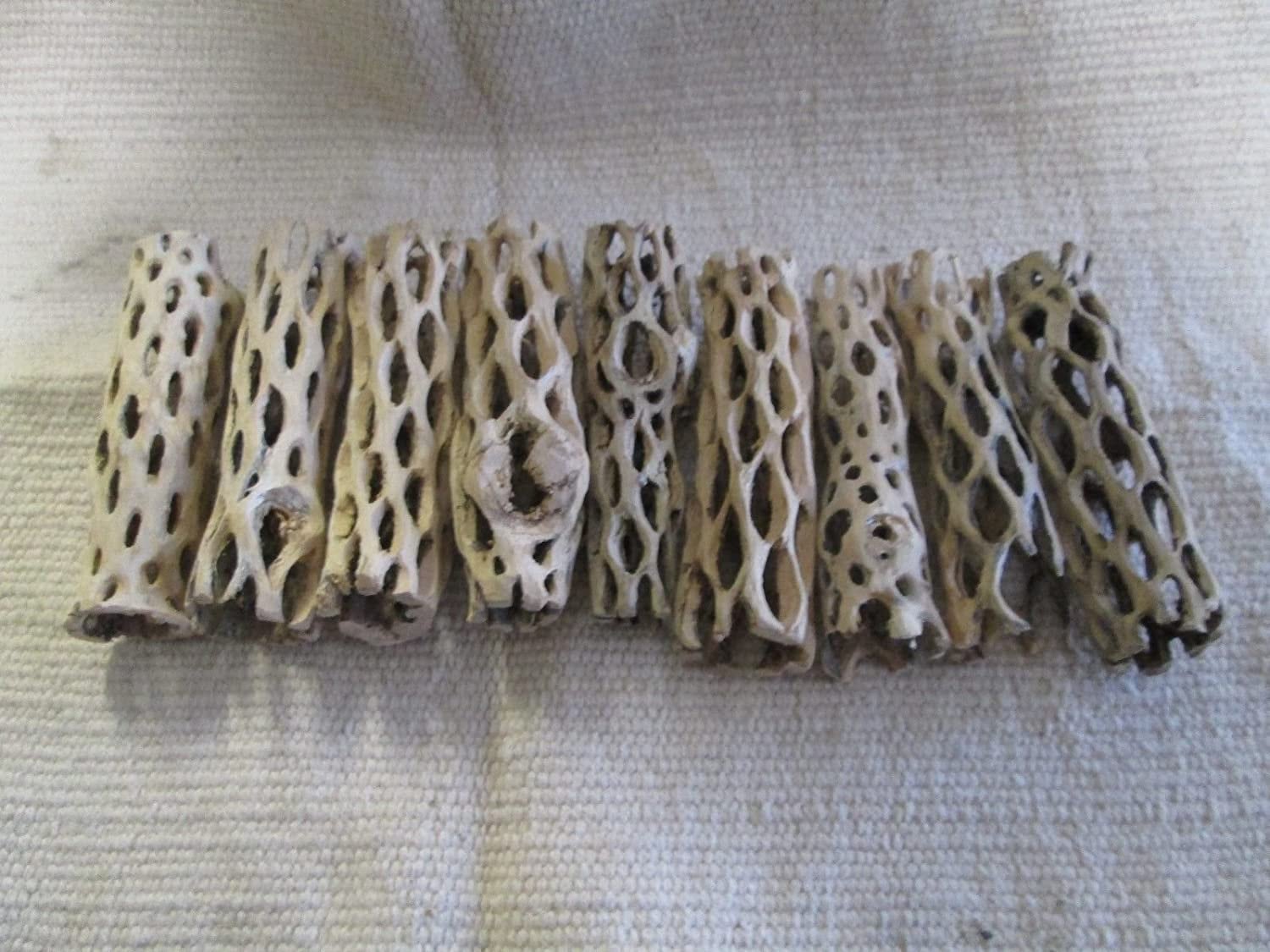 3 Cholla Wood Nano Pieces 3'' Cactus Wood Natural Aquarium Decor ...