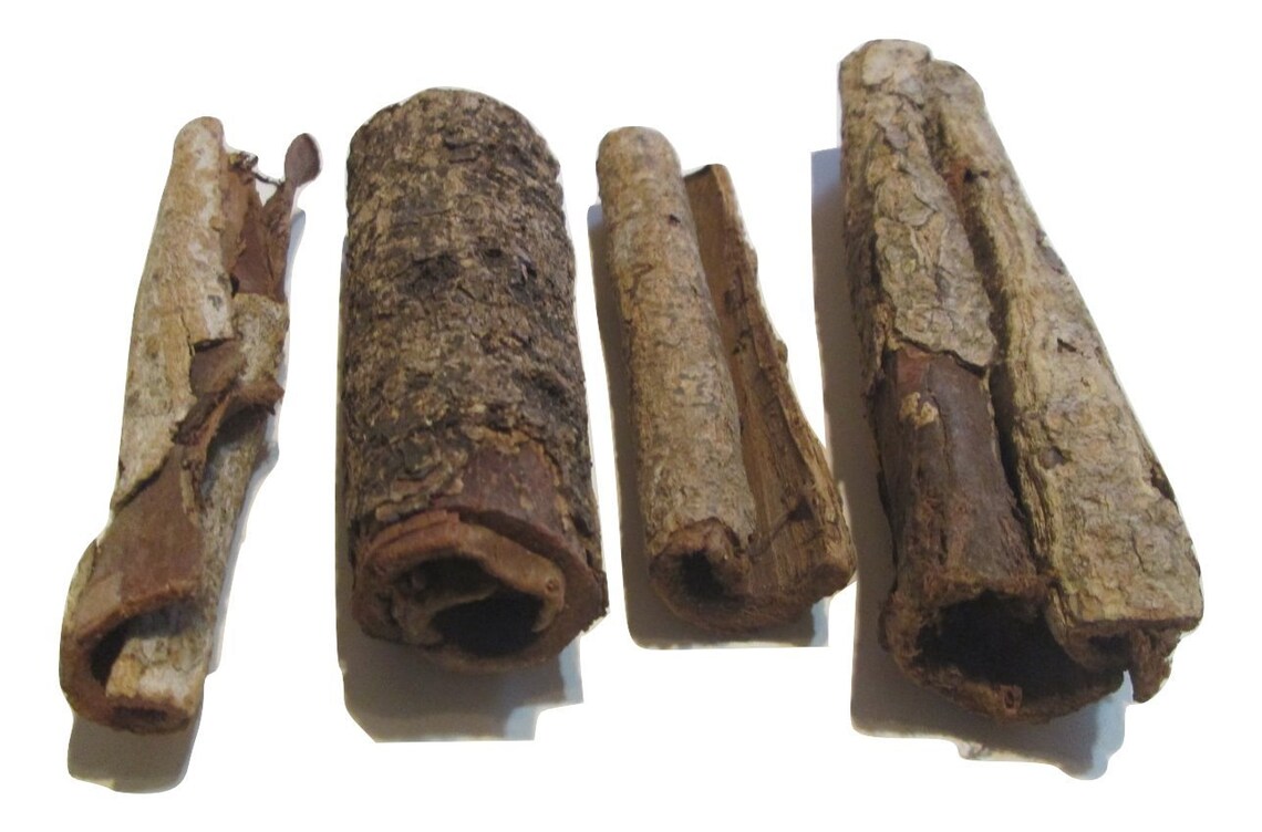 Organic Catappa Bark for Betta Fish Shrimp Tropical Fish - Etsy
