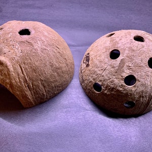 Natural Coconut Shells X2 ~ Shrimp Hide Cave, Pleco Shelter Aquarium ...