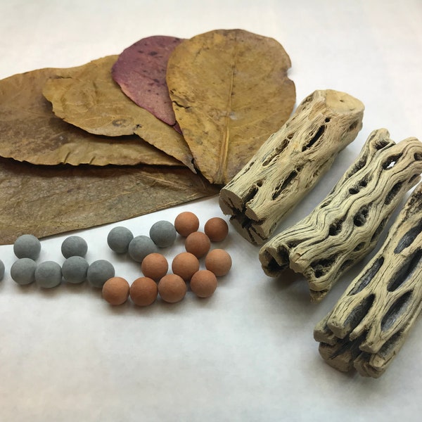 Cholla Wood - Etsy