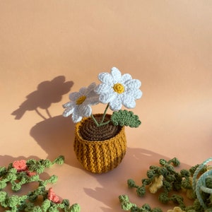 Daisies in the Pot PDF Pattern (english) - Etsy