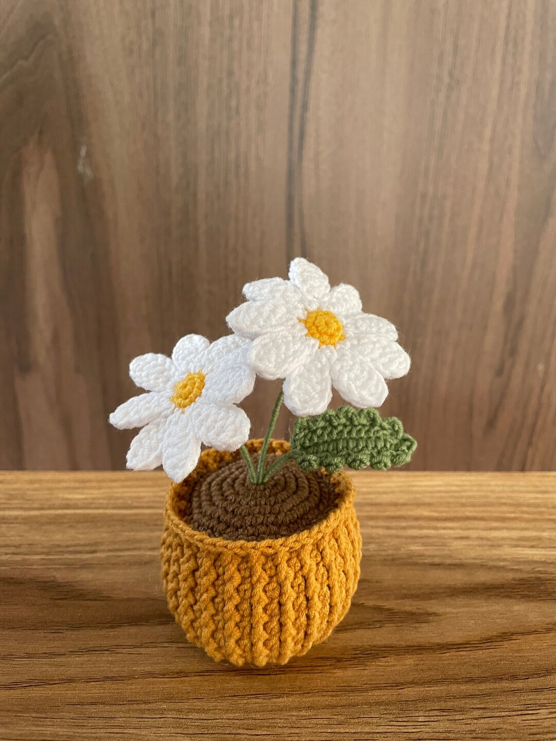 Daisies in the Pot PDF Pattern (english) - Etsy