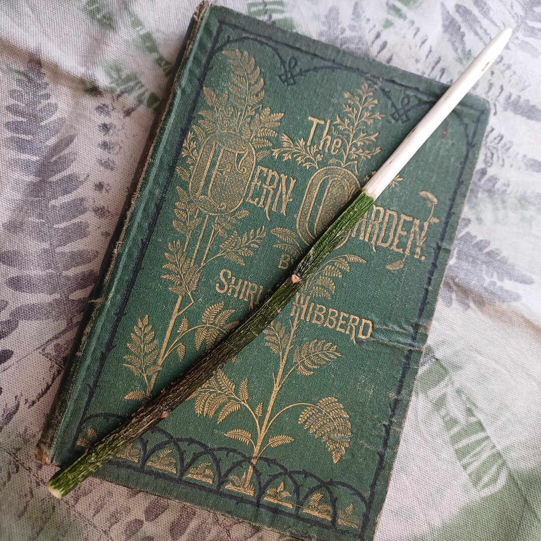 Welsh Holly Wood Wand, 24.5 Cm, Restores Direction, Witchcraft, Pagan ...