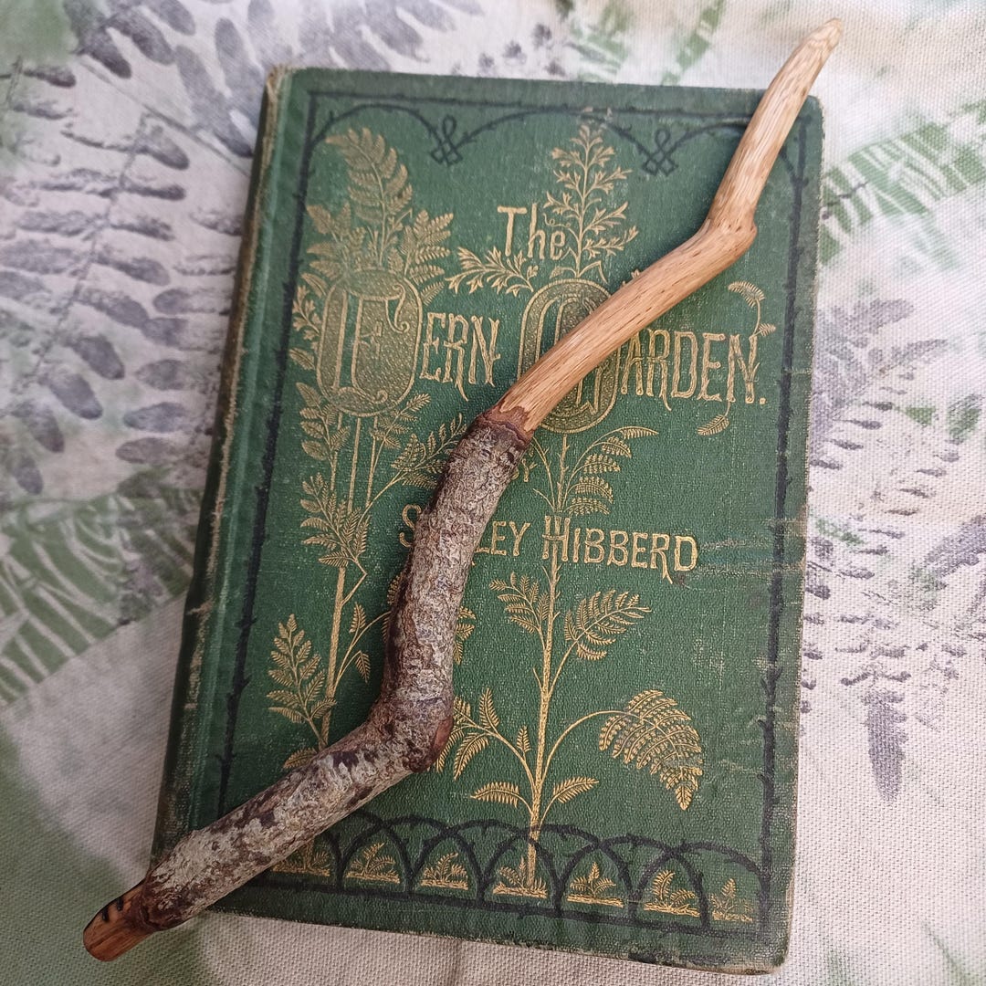 Red Oak Wood Wand, Strength & Protection, Witches Wand, Druid Wand ...