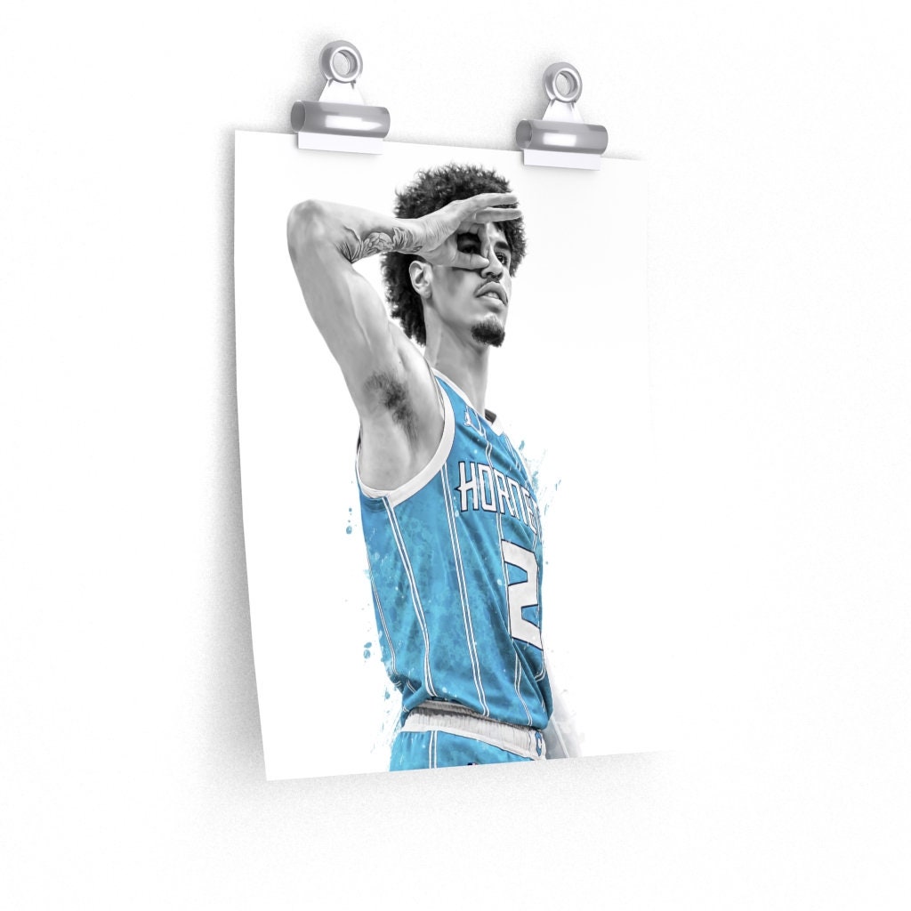 Lamelo Ball Charlotte Poster, Canvas, Basketball Print, Sports Wall Art ...