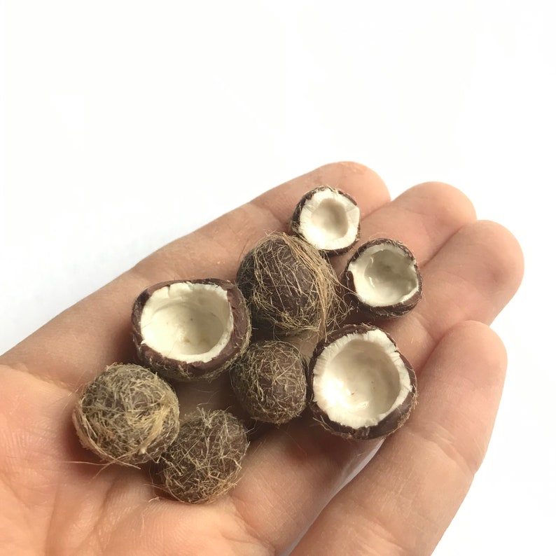 Miniatura coco realista miniatura comida para muñeca Casa de | Etsy