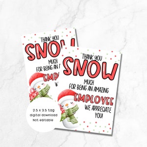 Thank You Snow Much Gift Tag, Employee Appreciation Tag, Staff Thank ...