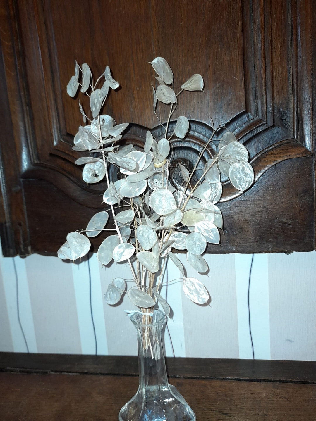 10 Branches Lunaria Annua Silver Leaf Moon Violet Monnaie Du Pape Dried ...