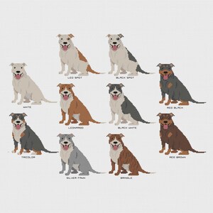 American Pit Bull Cross Stitch Pattern - Personalise Your Own Pit Bull ...