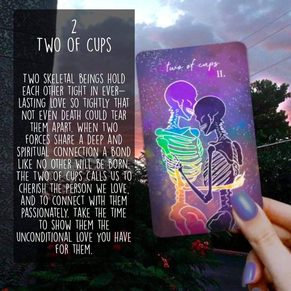 Cosmic Waste Tarot Rainbow Tarot Tarot Deck - Etsy