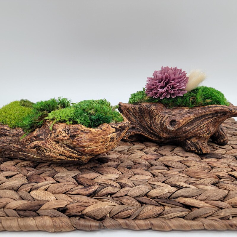 Moss Arrangement - Etsy