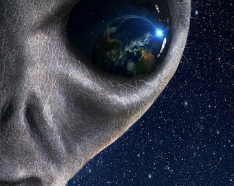 Gray Alien Poster - Etsy