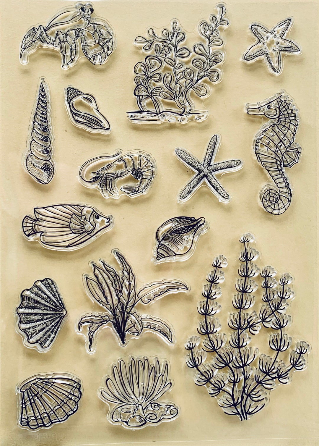 Large Set Sea Stamp Shell Sea Hoarse Starfish Sea Lighthouse Clear ...