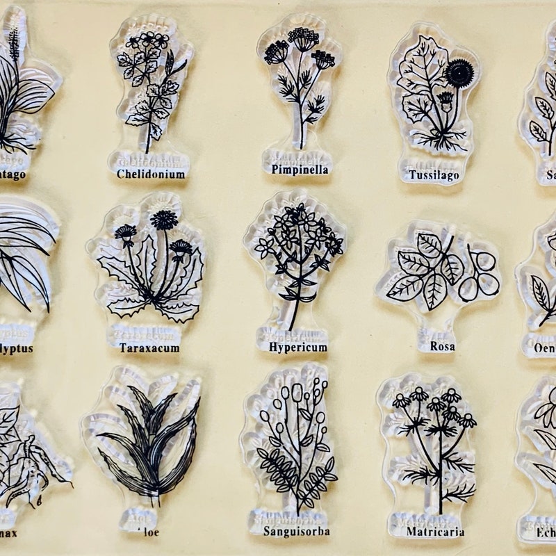 Plant Stamp - Etsy