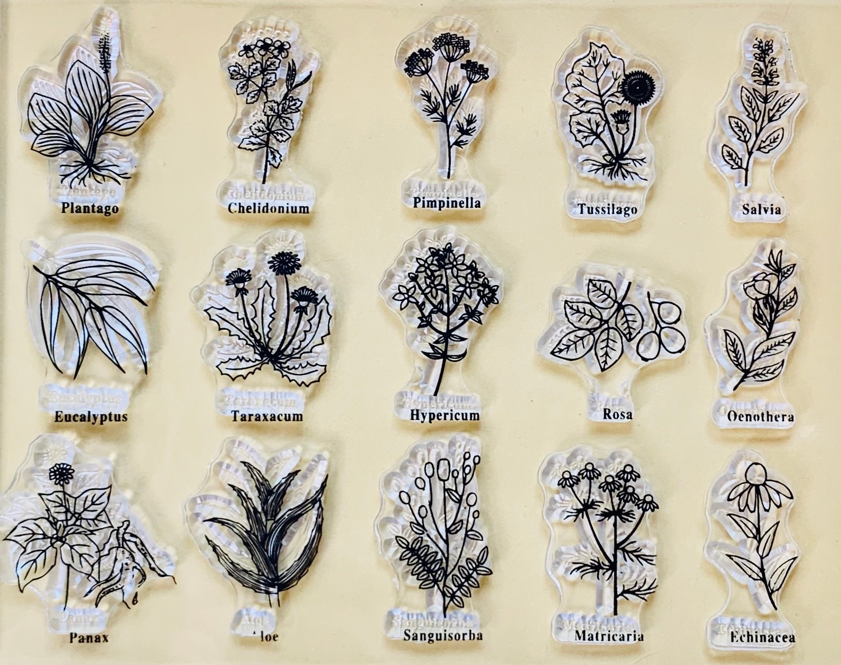 Plants and Herbs Clear Silicone Stamps DIY Embossing Planner - Etsy