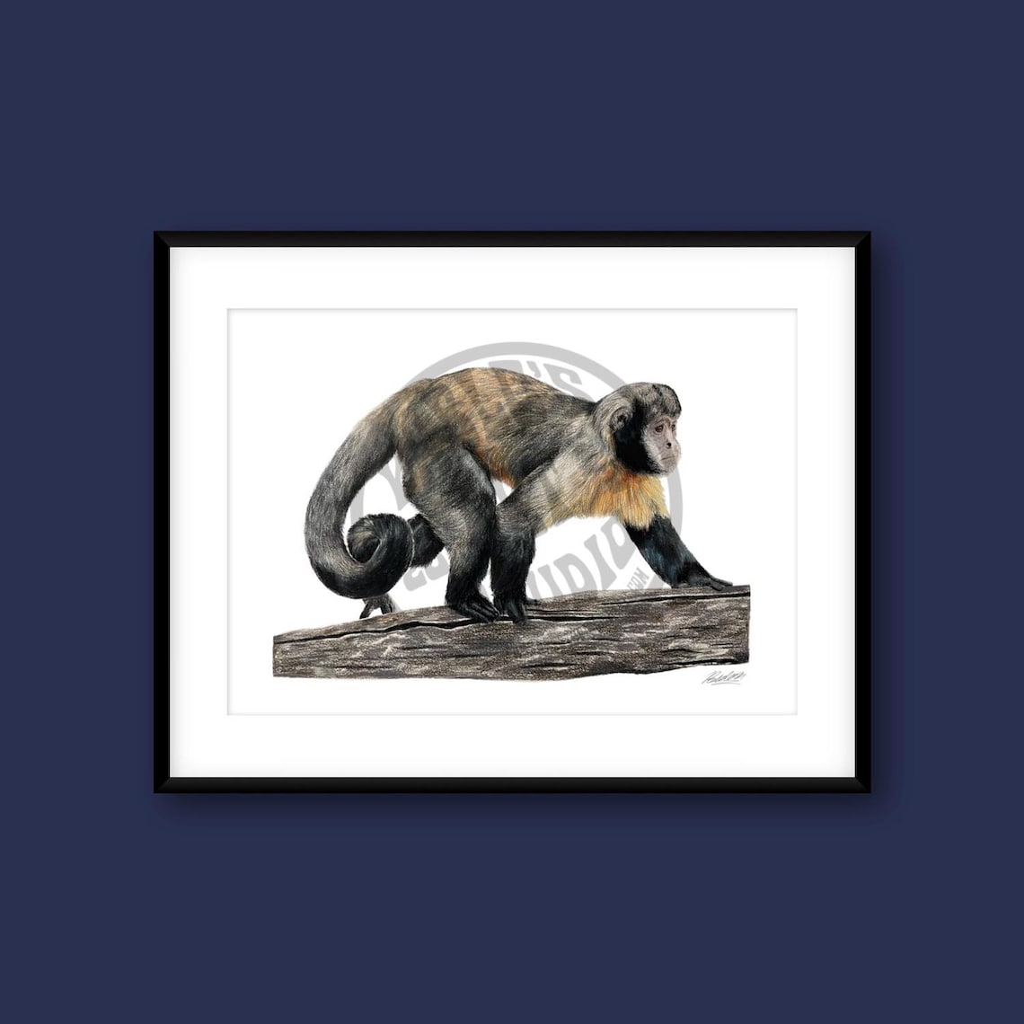 Capuchin Monkey / Coloured Pencil / Art / Wall Art / Art Decor ...