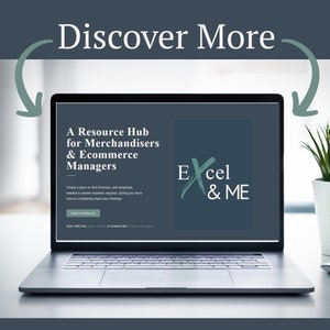 Simple Excel WSSI | Beginner Template | Excel and ME - Etsy