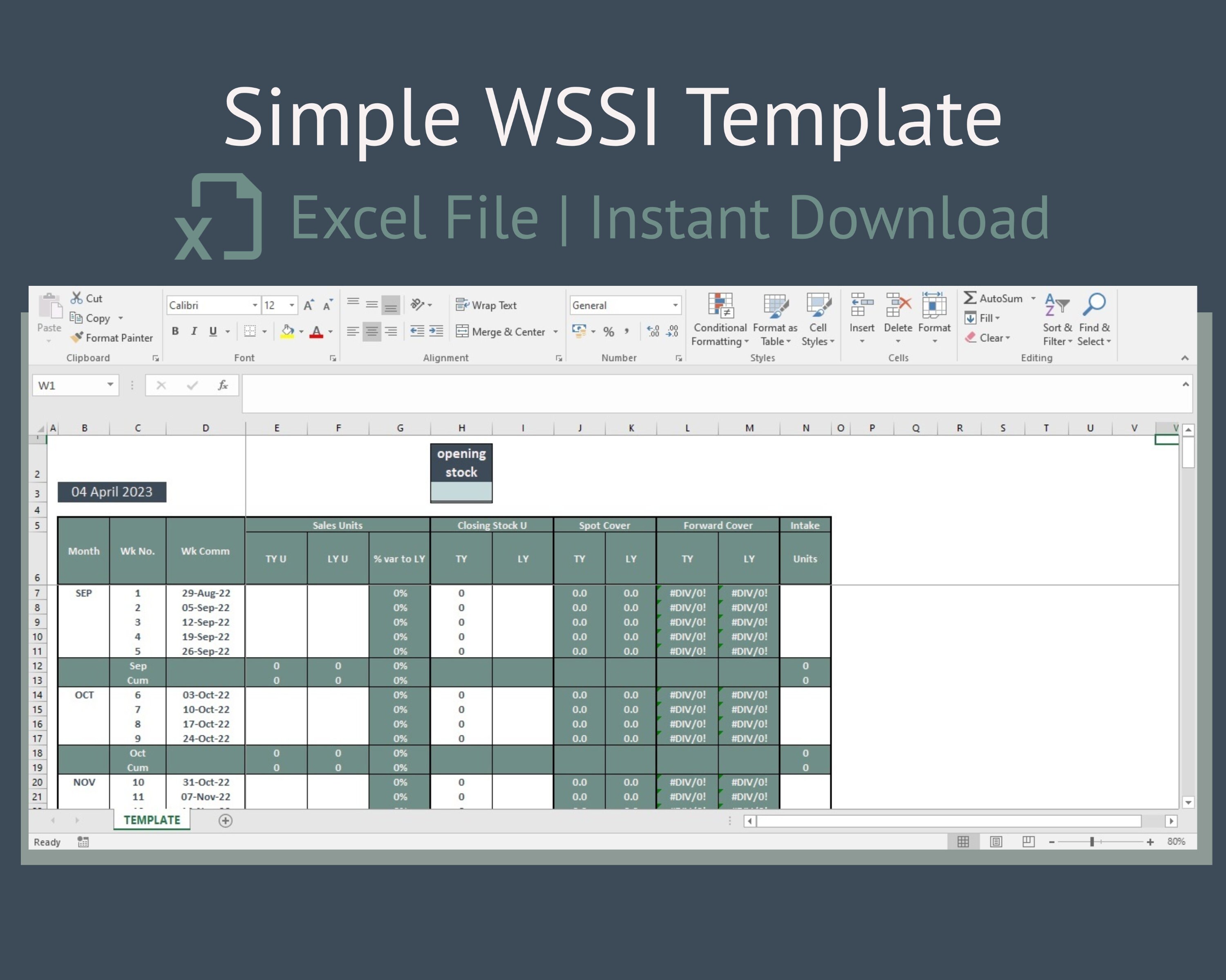 Simple Excel WSSI | Beginner Template | Excel and ME - Etsy