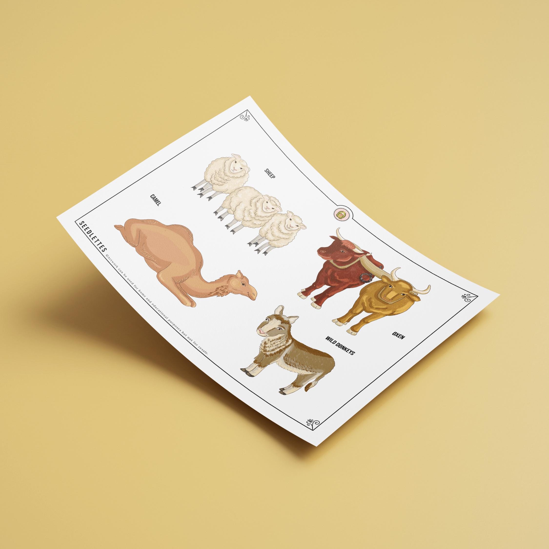 Job Bible Story Printables Set - Etsy