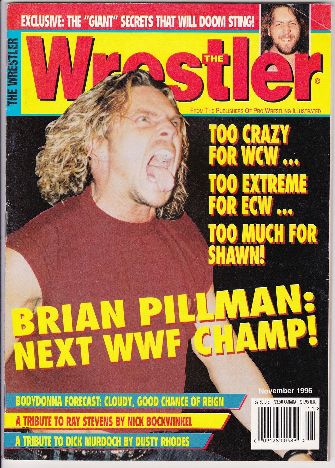 The Wrestler Magazine November 1996 Brian Pillman Bodydonnas Ray ...