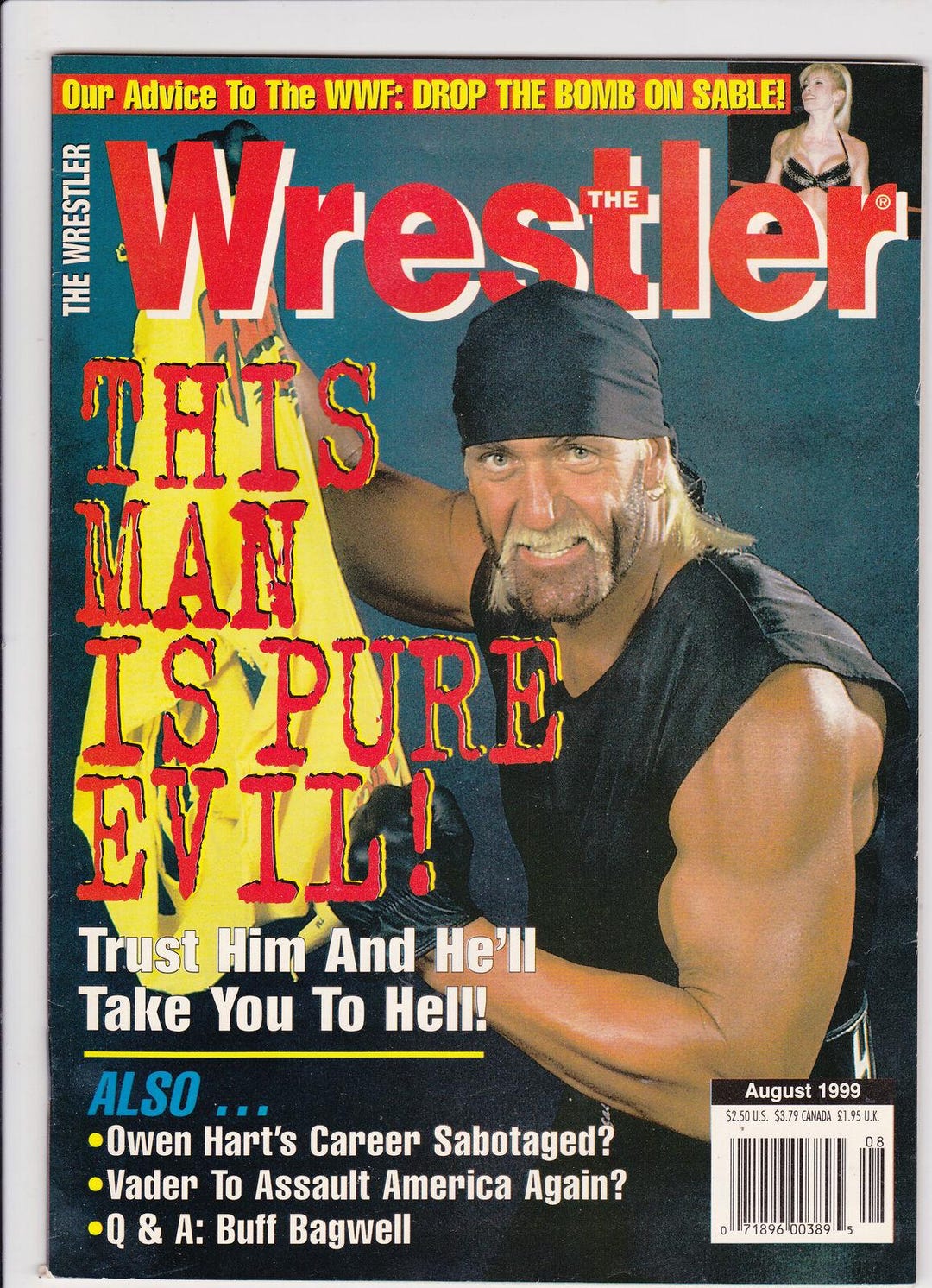 The Wrestler Magazine August 1999 Wrestling Hollywood Hogan Owen Hart ...