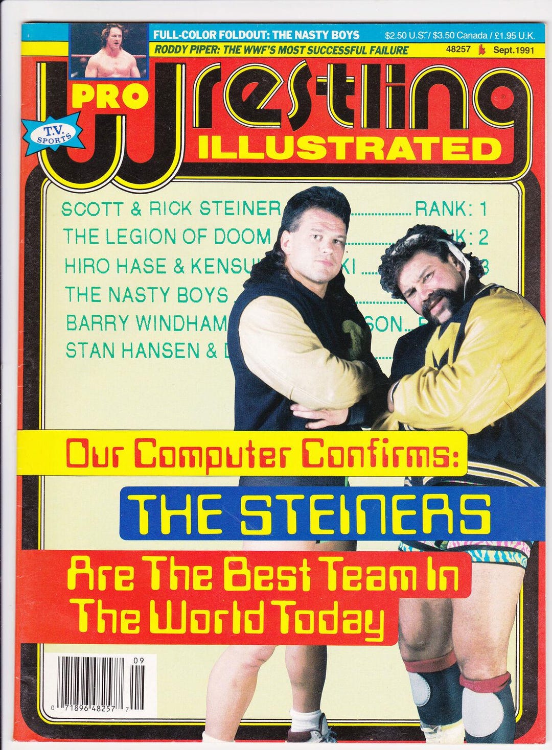 Pro Wrestling Illustrated September 1991 Best Tag Teams Steiner Brothers WCW 90s - Etsy