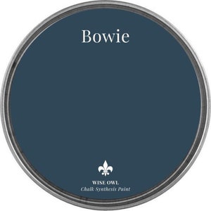 Bowie Wise Owl Chalk Synthesis Paint. Blue Furniture Paint. Sixteen ...