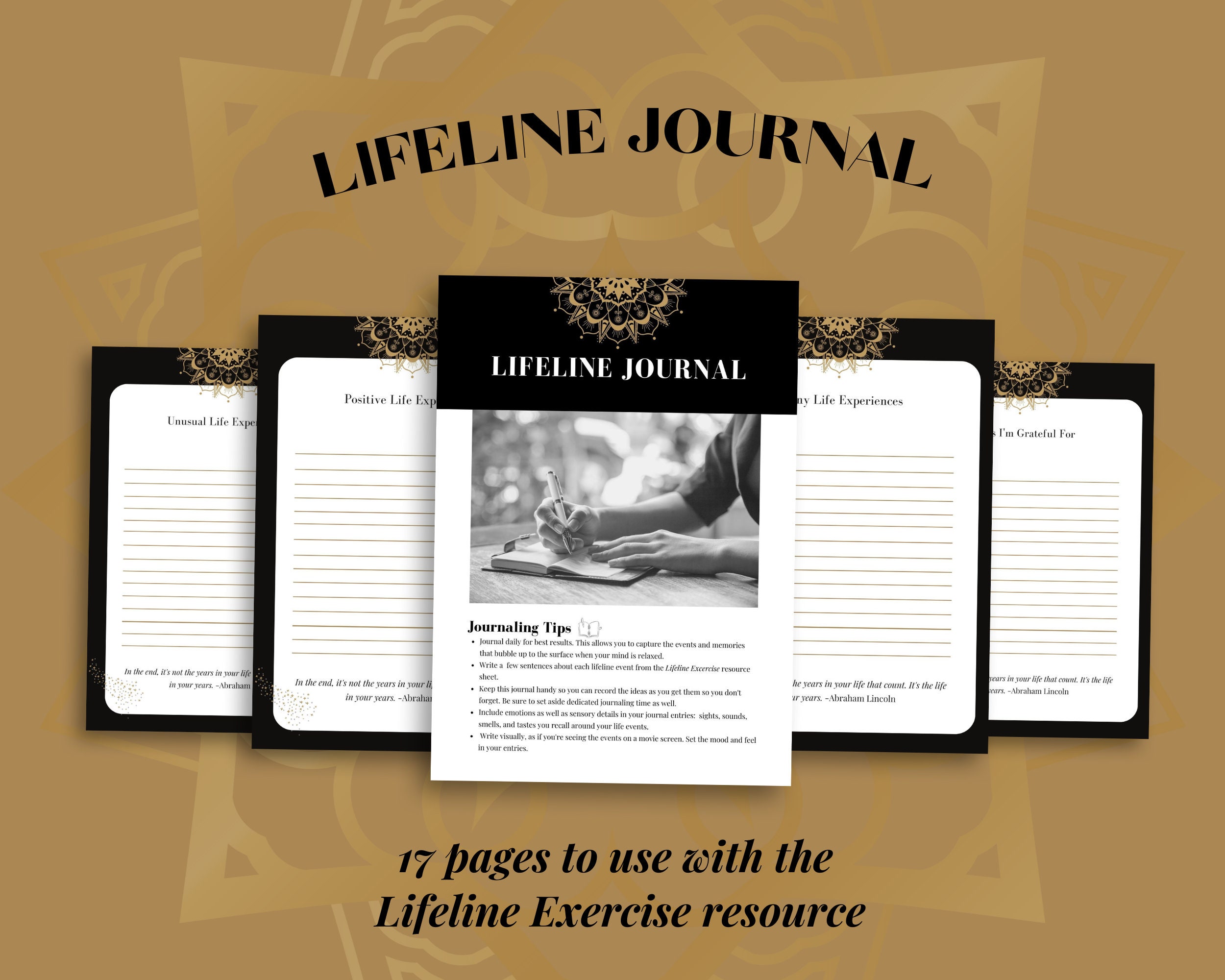 Elegant Lifeline Exercise Journal to Organize Your Personal History ...