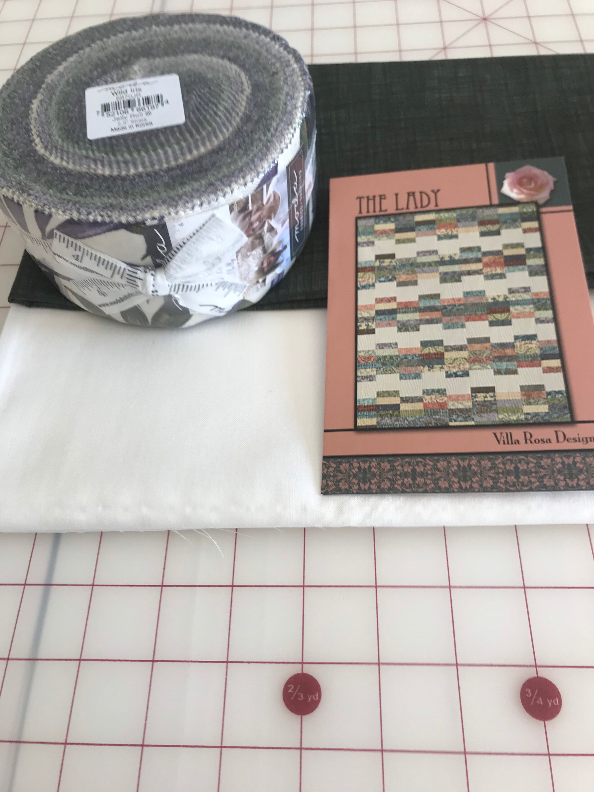 Wild Iris Quilt Kit by Holly Taylor for Moda-54x72 - Etsy