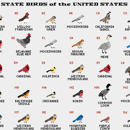 United States State Birds Cross Stitch Pattern PDF - Etsy