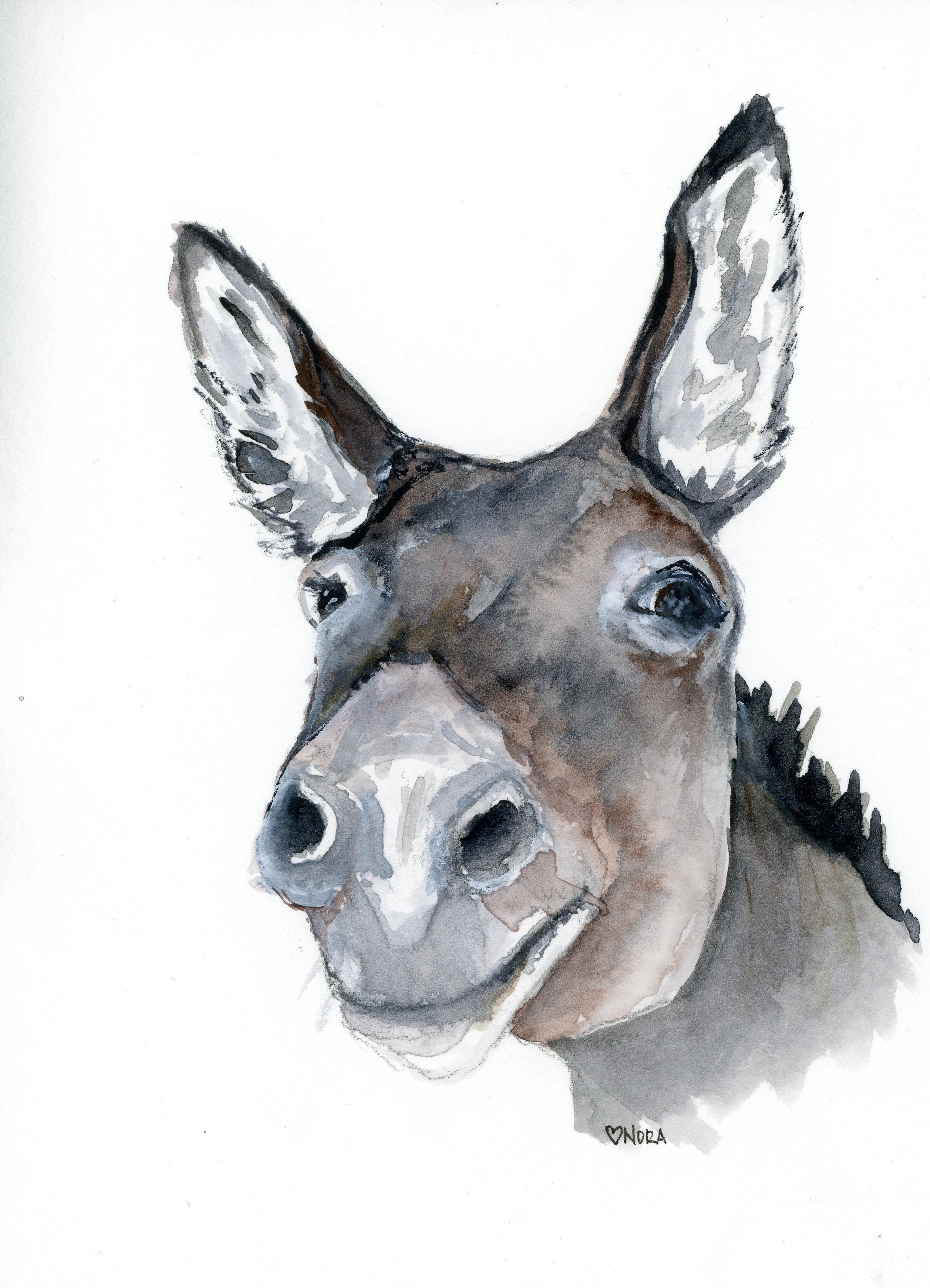 Up Close and Personal Donkey Watercolor Print or Greeting Card - Etsy