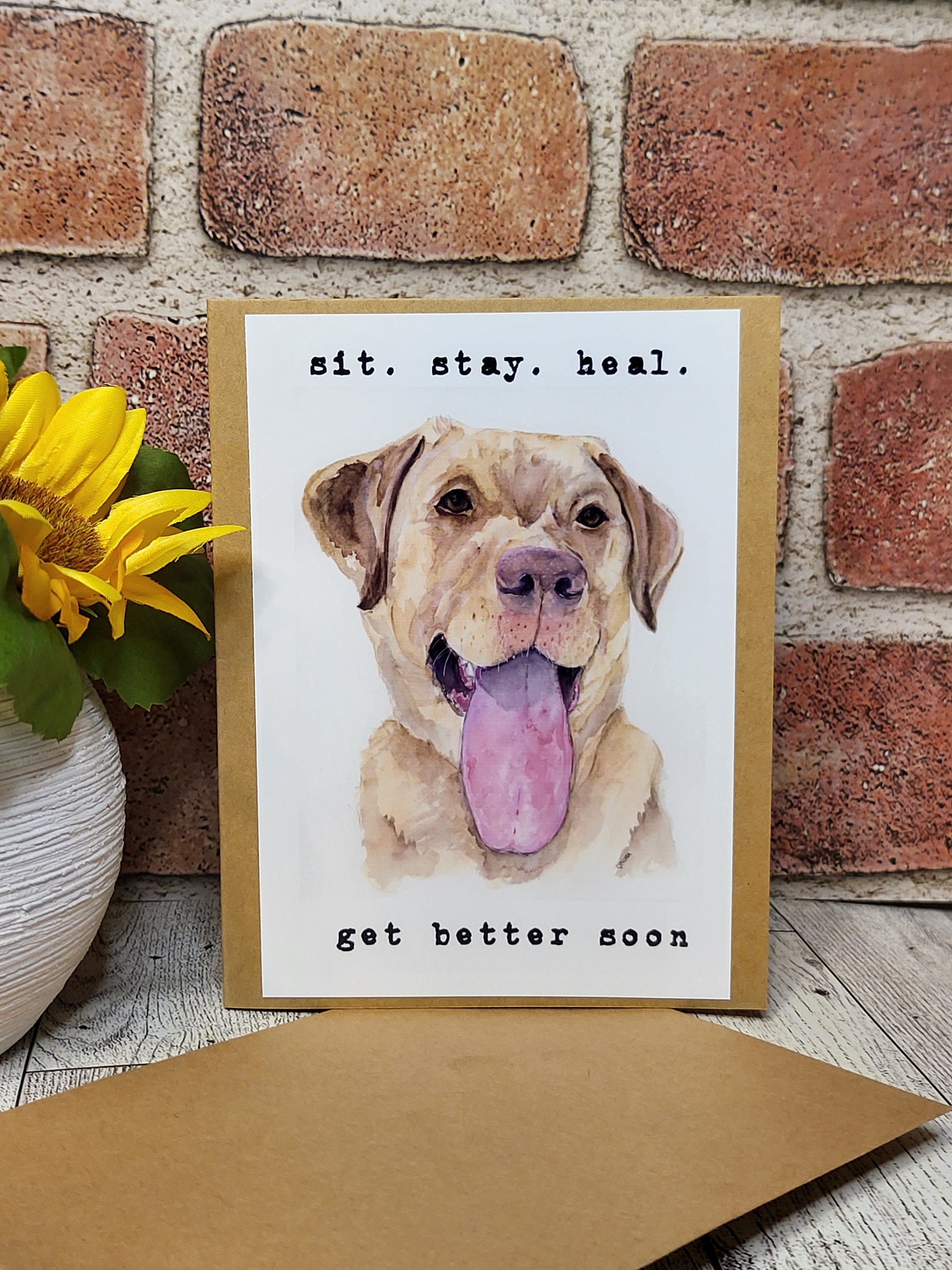 Get Well Soon Dog Lab