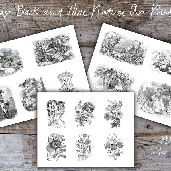 Bible Black and White Clipart - Etsy