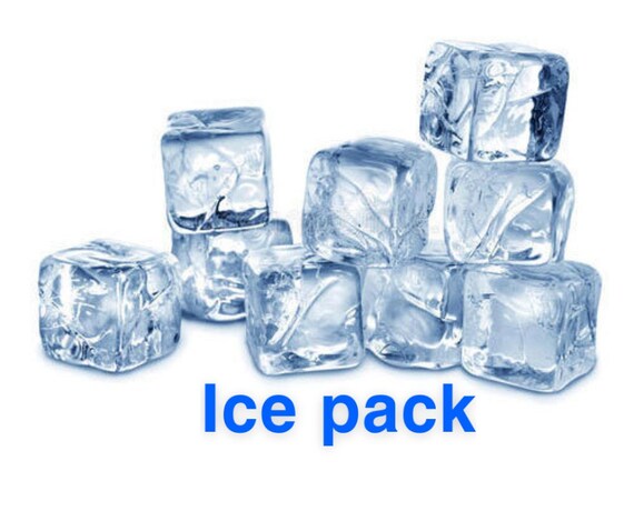 ICE PACK Shipping Add On | Etsy