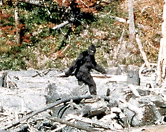 Sasquatch Print | Etsy