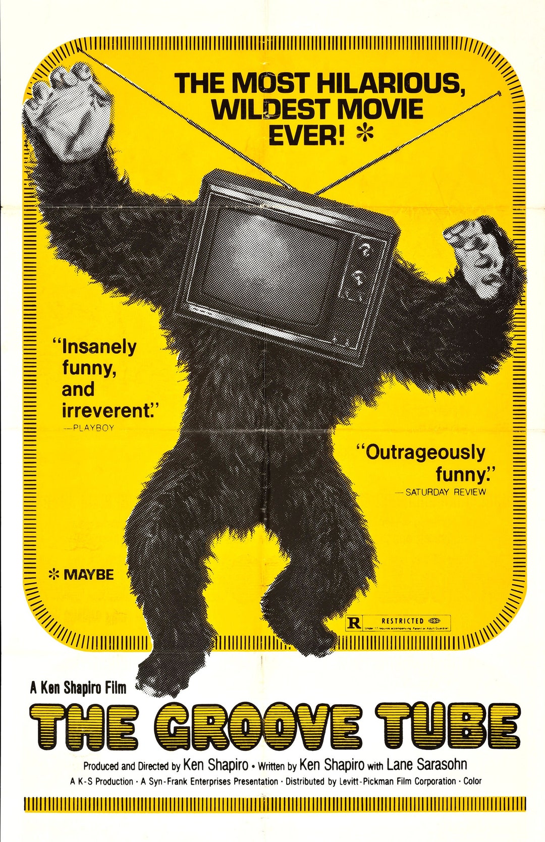 The Groove Tube 11 X 17 Deluxe Poster Art Print - Etsy