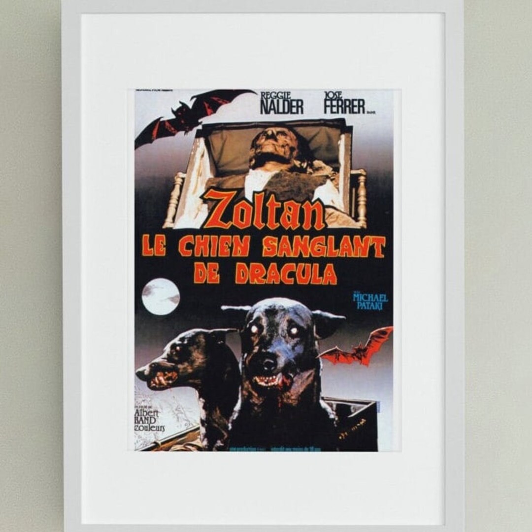 11 X 17 Zoltan, Hound of Dracula Poster Art Print - Etsy