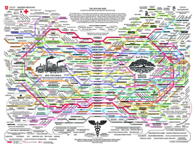 The Healing Web Poster Natural Remedies Chart - Etsy