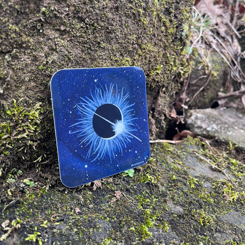 Solar Eclipse Sticker SET of 5 - Waterproof/ UV Resistant - Etsy