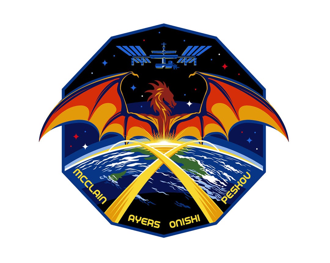 NASA Spacex Crew 10 Vinyl Sticker - 3 Inch X 3 Inch - Etsy