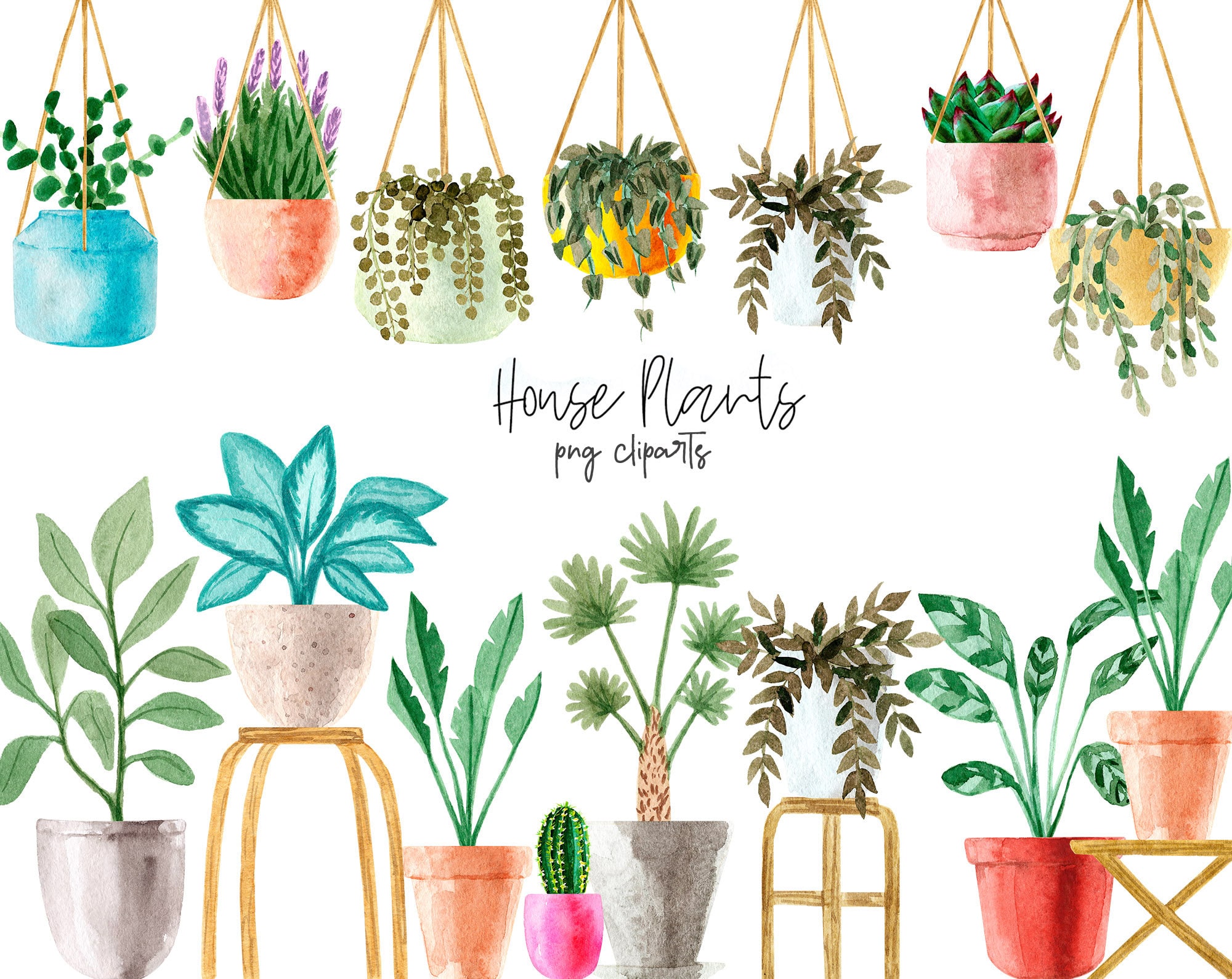 House Plant Watercolor Clipart. House Plants Planner Cliparts. Cactus ...