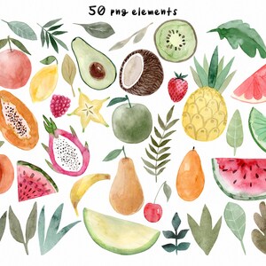 Watercolor Fruits Clipart. Summer Food, Sweet Tropical Exotic Fruit Png ...