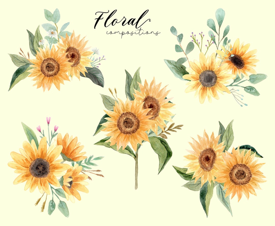 Watercolor Sunflower Clipart Painting. Flower Png Weding Bouquet ...