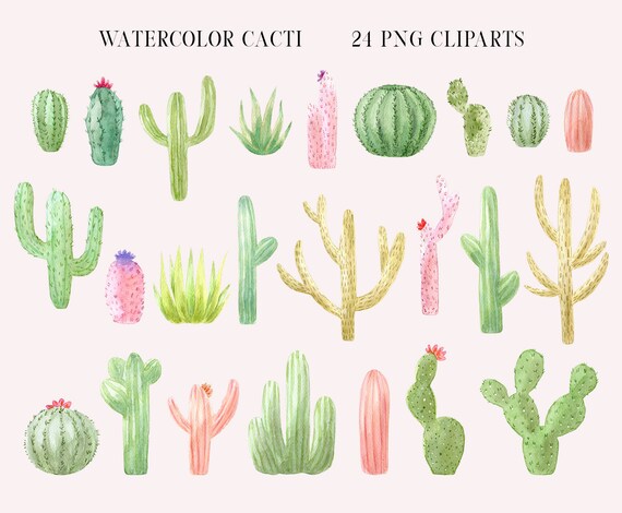 Watercolor Cactus Png Clipart. Hand Drawn Cacti Clip Art. - Etsy