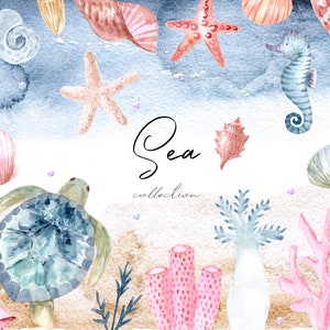 Watercolor Sea Set. Marine Ocean Watercolors Png Clipart. Digital Clip ...