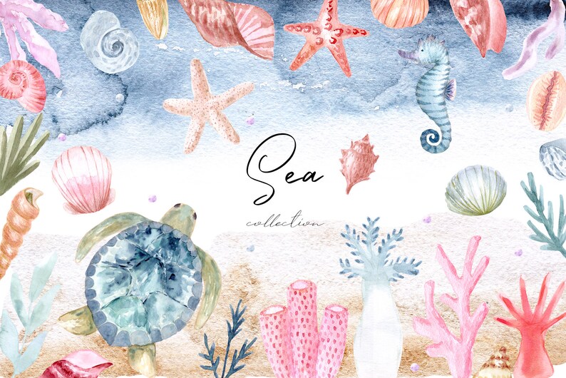 Watercolor Sea Set. Marine Ocean Watercolors Png Clipart. Digital Clip ...